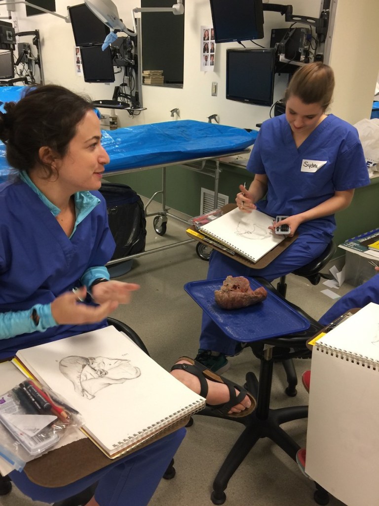 Can Learning to Draw Make Duke Medical Students Better Doctors?