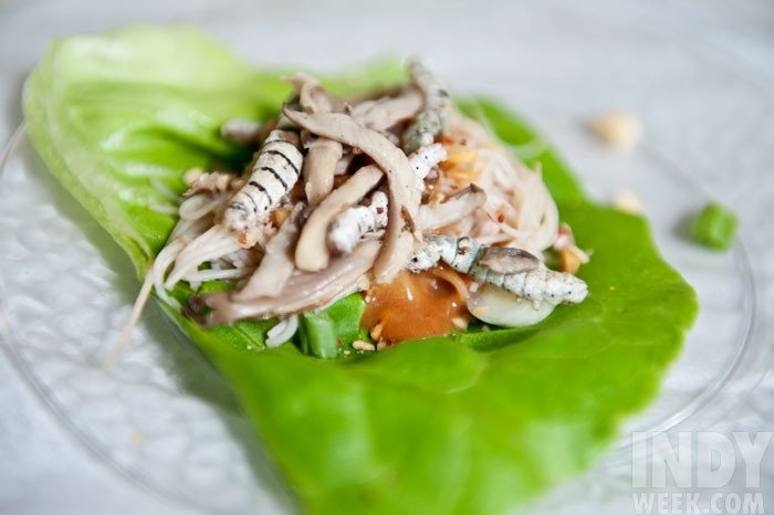 Eating invertebrates at the Museum of Life and Science