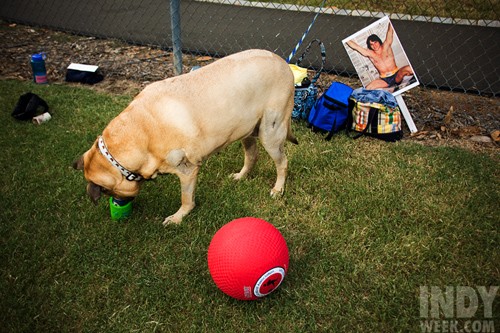 Adult kickball: more fun with humor and beer
