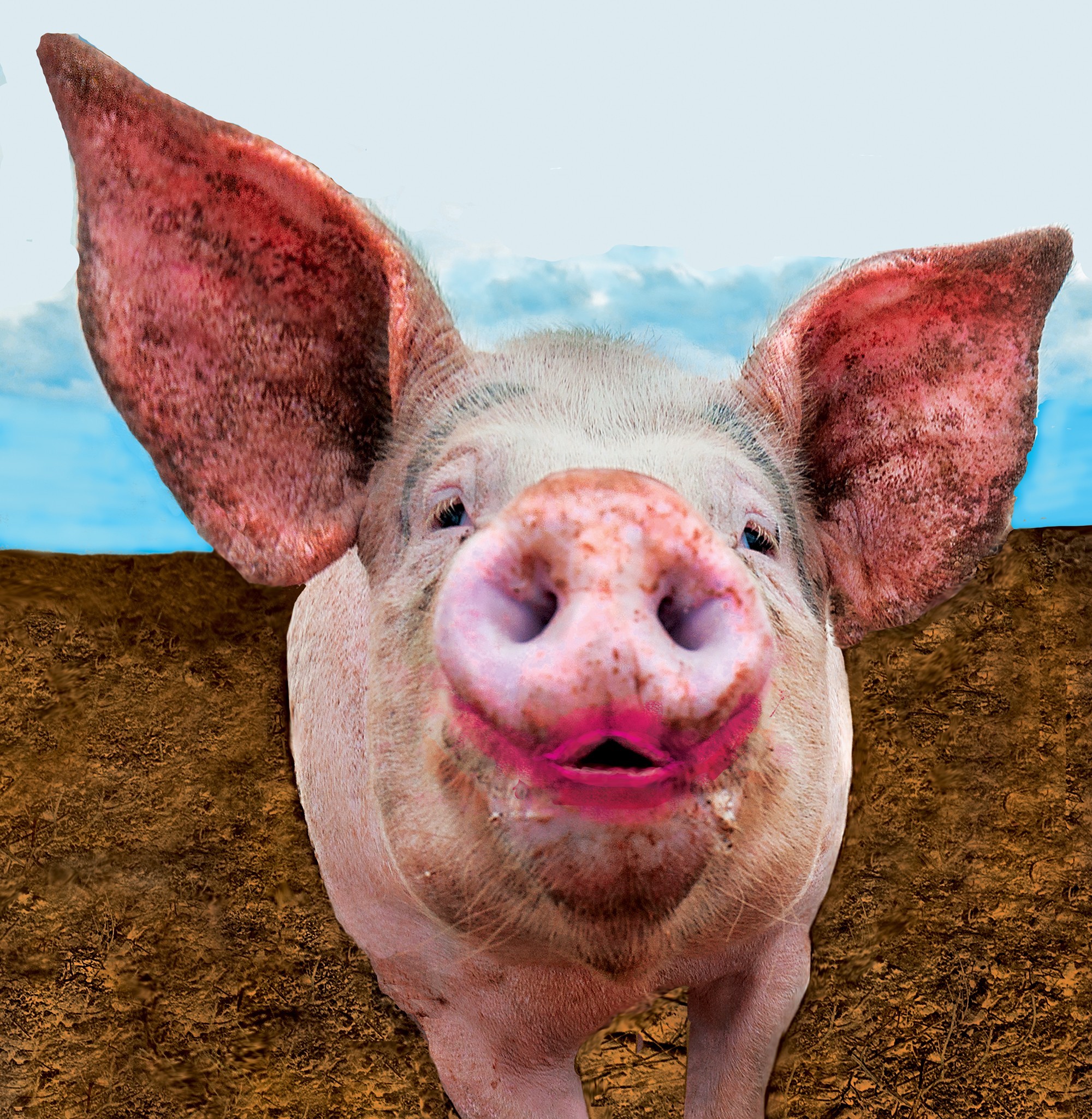 Lipstick on a Pig: Fifty-three Weeks of HB 2, and the Day That Gave Us ...