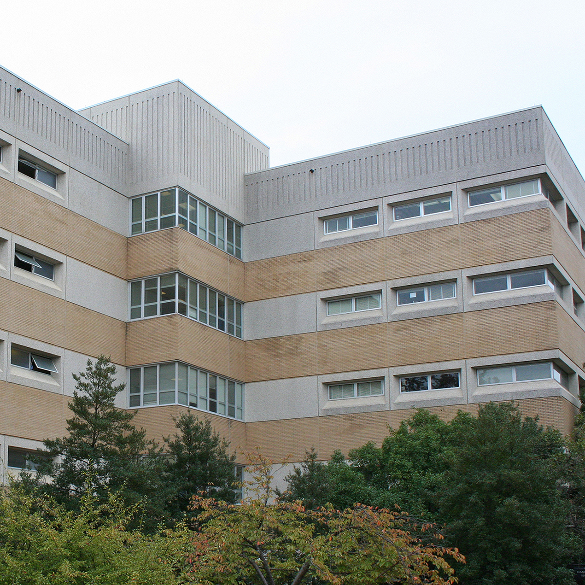 UNC History Department Moves to Rename Its Building After Civil Rights ...