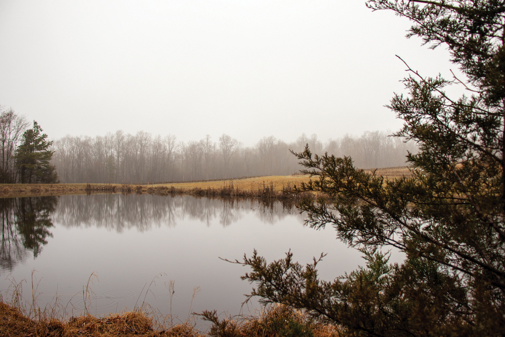 The Piedmont's First Conservation Cemetery Is Rethinking Burial