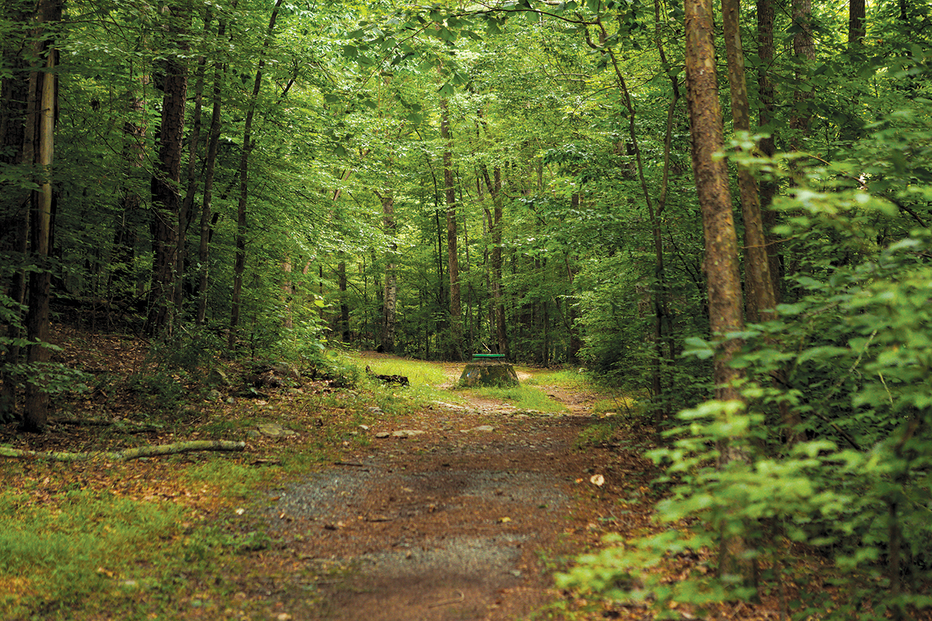 Will Fresh Momentum Find Room for Compromise Over a Greenway Running ...