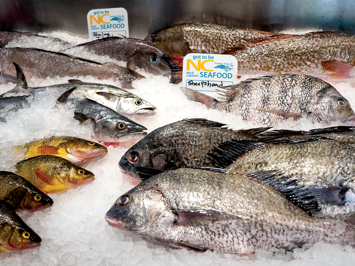 In Raleigh, a New Inland Fish House Anchors North Carolina's Seafood ...