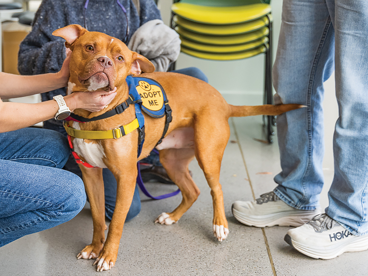 15 Minutes: Anna Wilcox