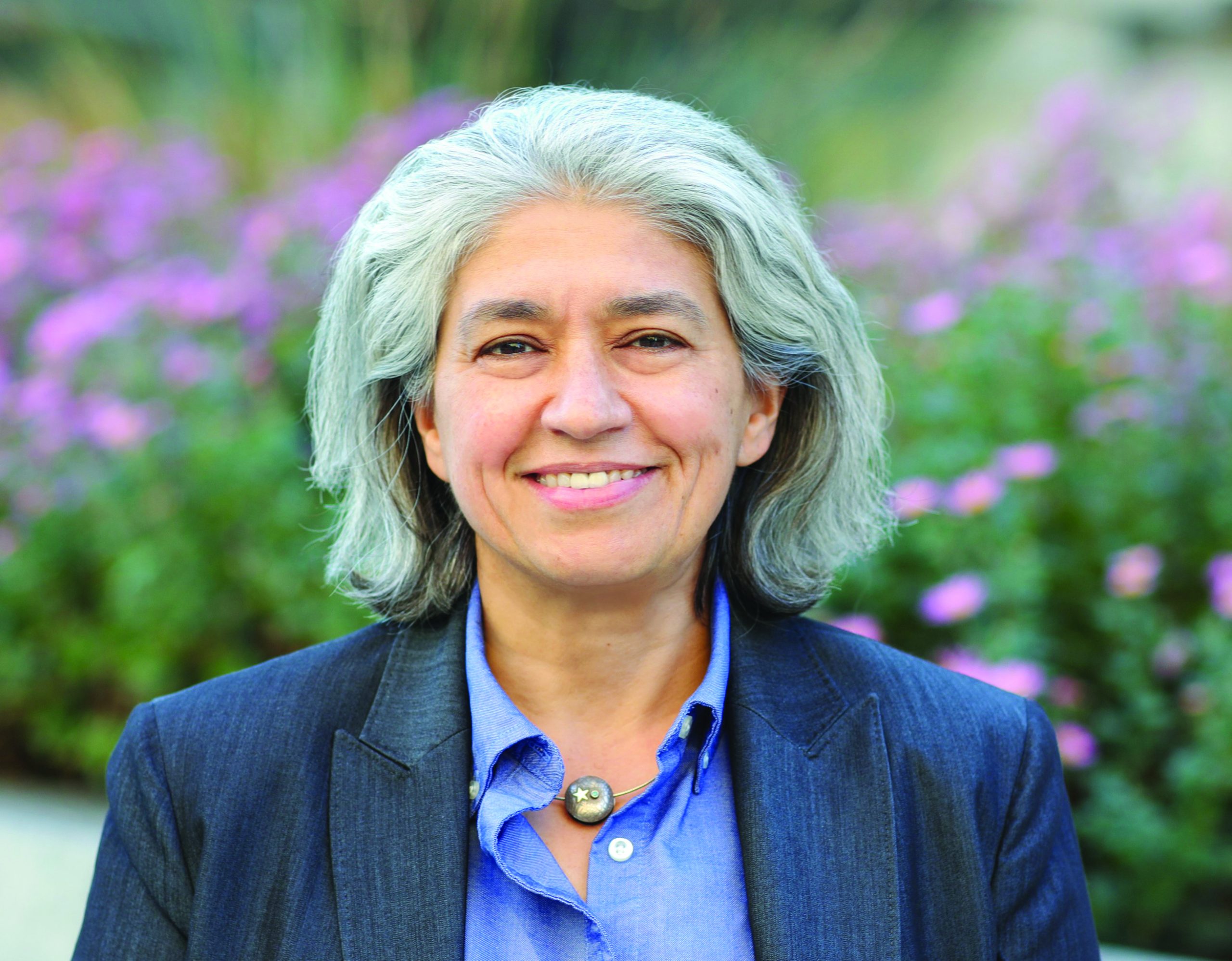 Candidate Questionnaire: Lisa Grafstein, NC Senate District 13