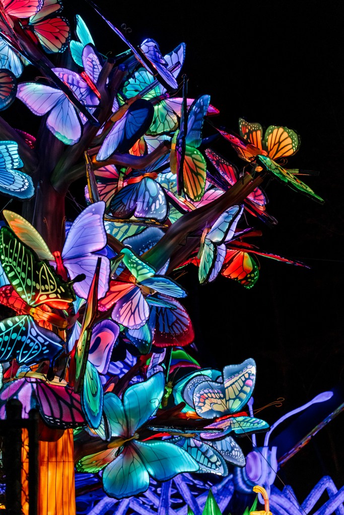Inside the Annual North Carolina Chinese Lantern Festival